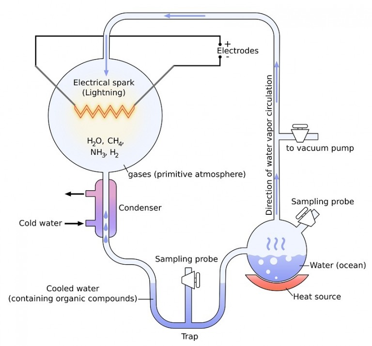 Miller-Urey Experiment - Science Facts