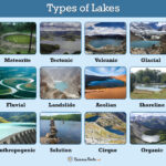 Index of /wp-content/uploads/2020/01