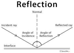 Reflection: Definition, Types, Laws, and Ray Diagrams