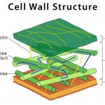 Index of /wp-content/uploads/2020/06