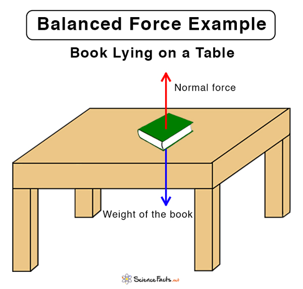 Balanced Force Definition Examples And Equation Balanced Force Definition Examples And Equation