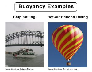 Buoyancy and Buoyant Force: Definition, Examples, & Formula