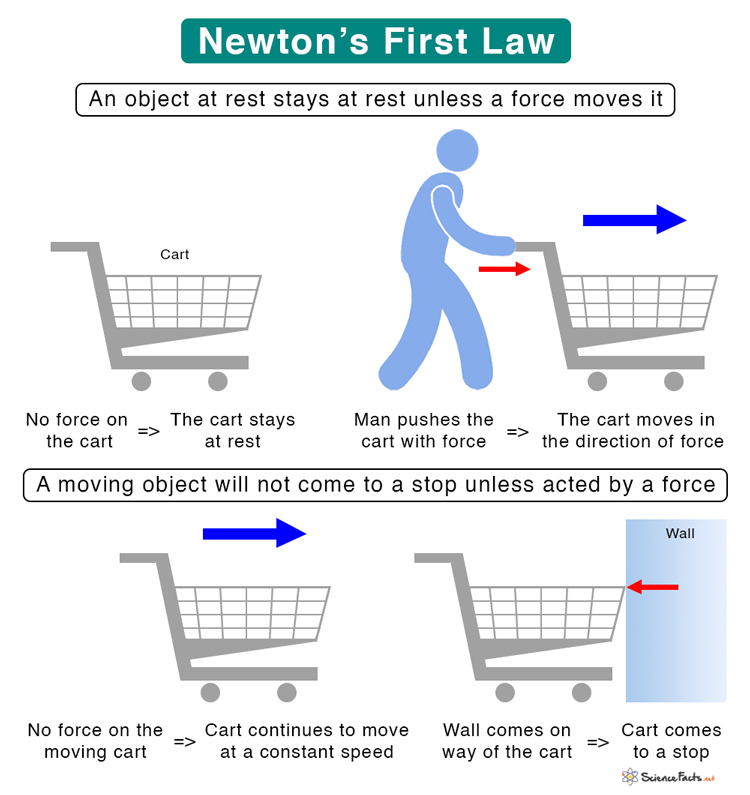 Newton s First Law Statement Examples And Equation