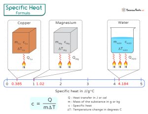 Specific Heat and Heat Capacity: Definition, Formula, & Problems