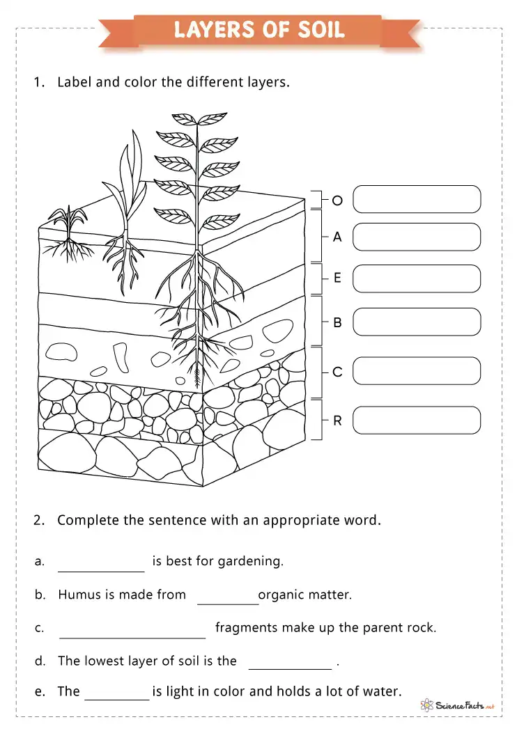 Layers Of Soil For Kids Worksheets GRADE 2 SCIENCE SOCIAL STUDIES