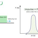 Velocity: Definition, Examples, Formula, and Solved Problems