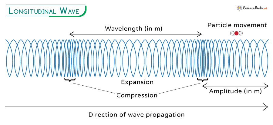 Longitudinal Wave Definition Characteristics And Examples Longitudinal Wave Definition Characteristics And Examples